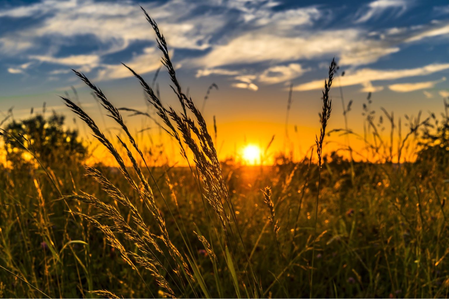 4K Indiański flet - Indiańska muzyka relaksacyjna - Relaksujący flet ... 4K Indiański flet - Indiańska muzyka relaksacyjna - Relaksujący flet ...